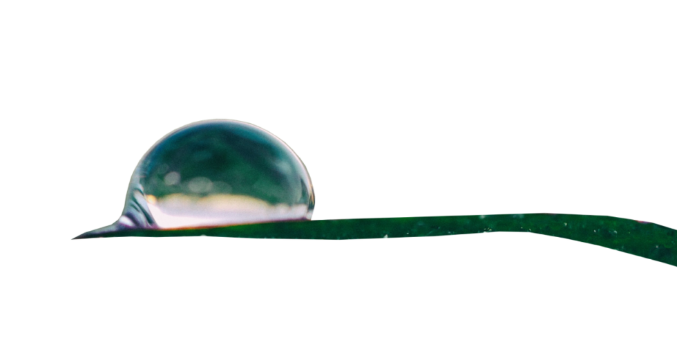 DewCure - Mitchell Products